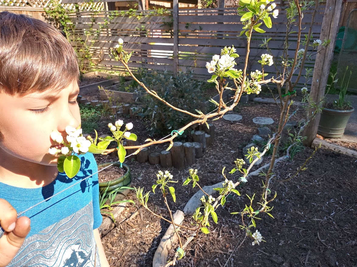 Five Nature Connection Activities to Deepen Your Relationship With the ... Five Nature Connection Activities to Deepen Your Relationship With the ...