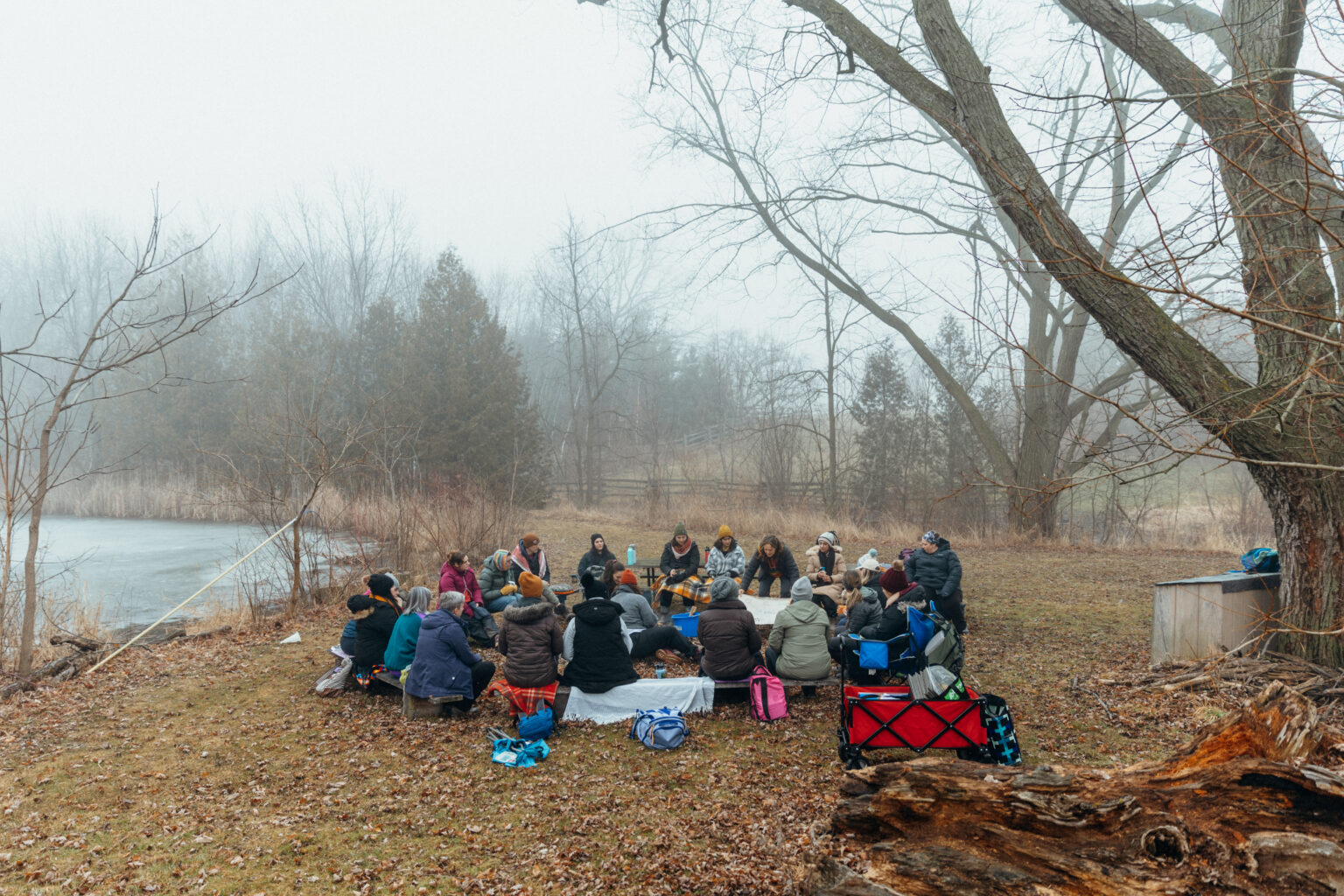 Forest and Nature School Practitioners Course - Child and Nature ...